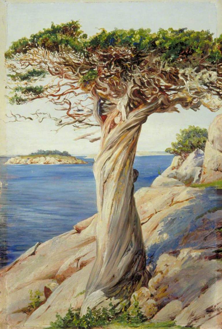 #FineArtFriday: An Old Red Cedar on the Rocks near West Manchester ...